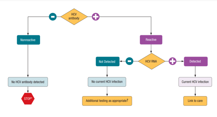 Did You Know Only 21% of people know they have HCV? How testing plays a ...