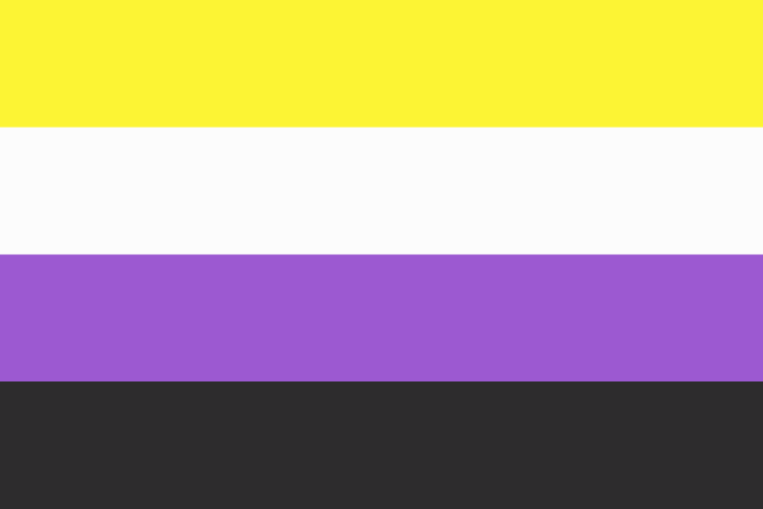 Nonbinary Flag – Beyond Pink and Blue | INSTI
